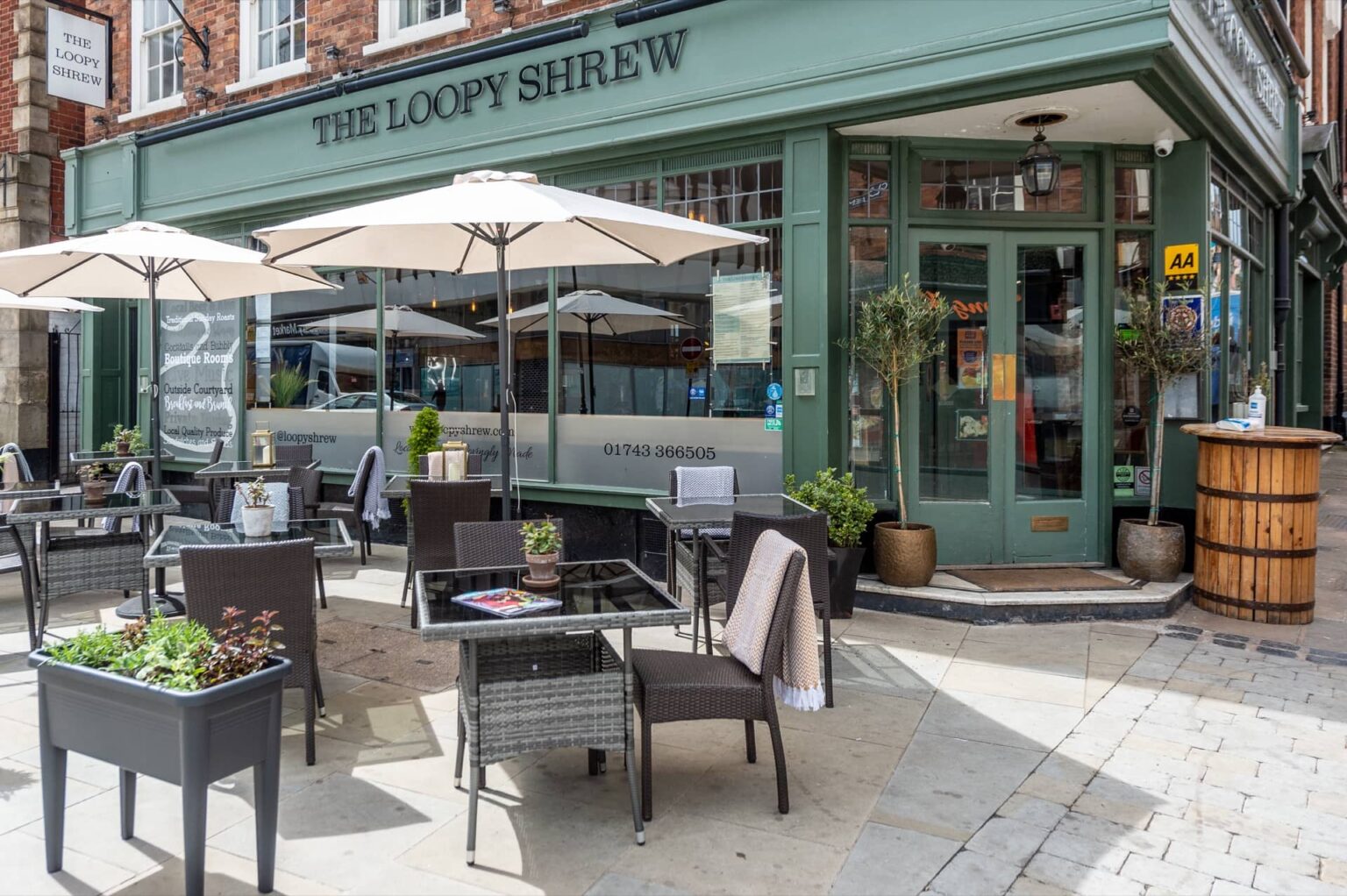 Gallery - The Loopy Shrew