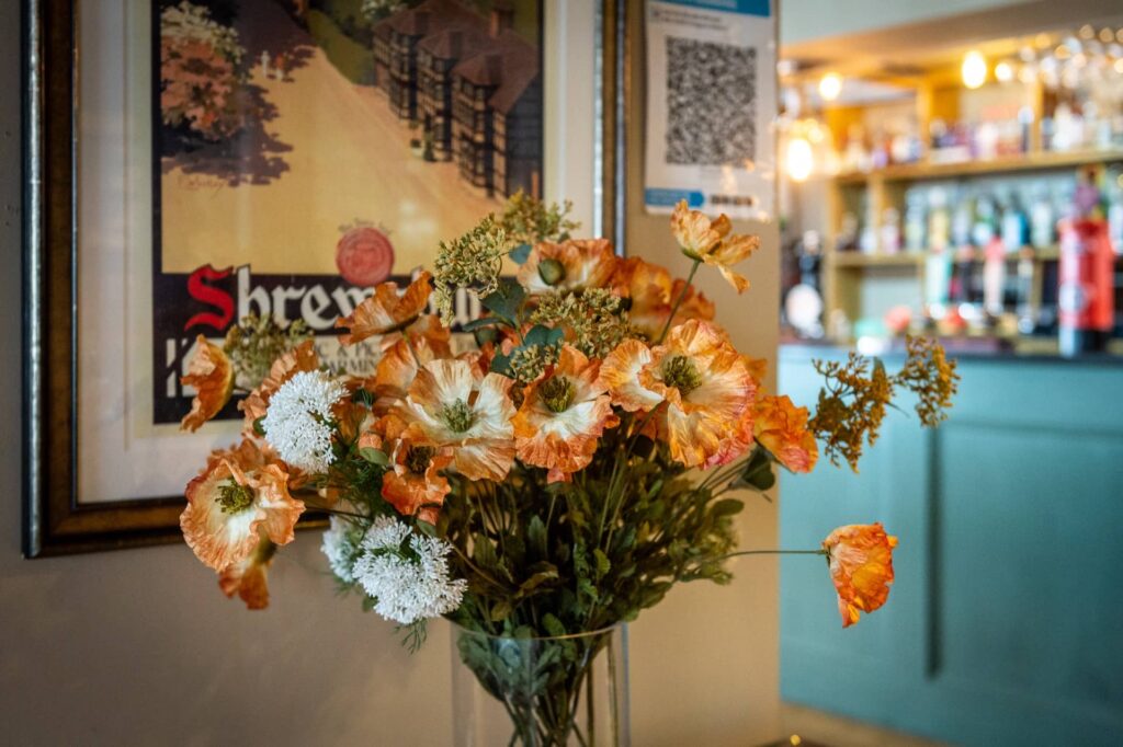 Gallery - The Loopy Shrew