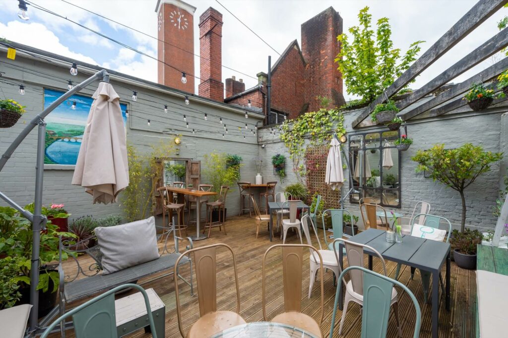 Gallery - The Loopy Shrew