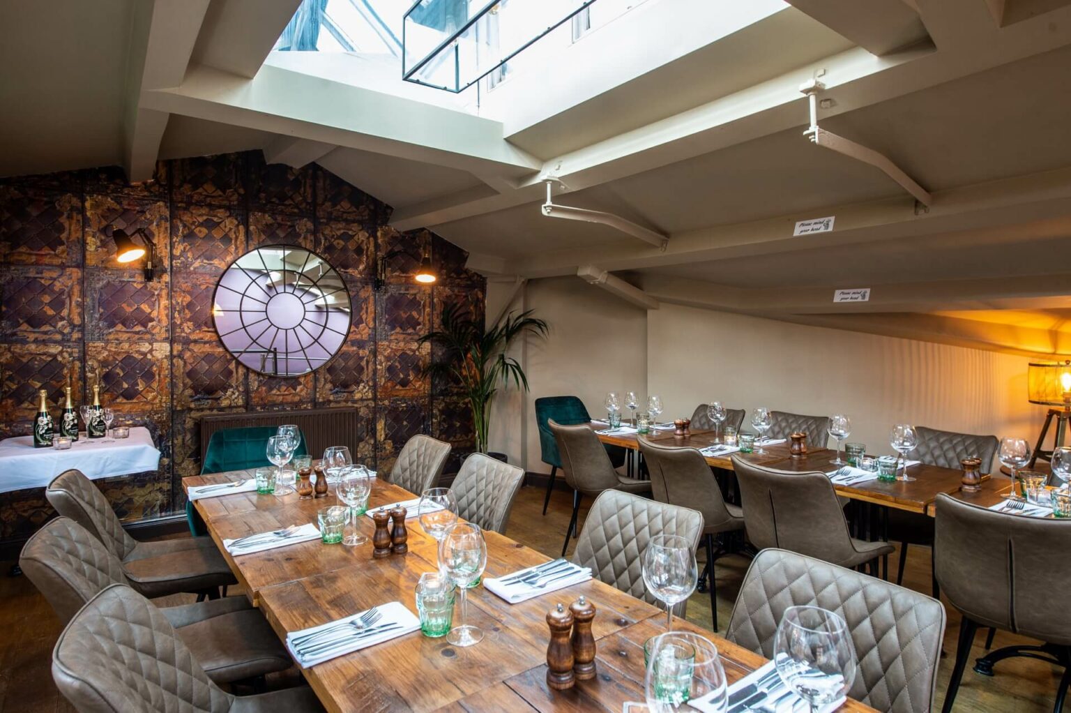 Gallery - The Loopy Shrew