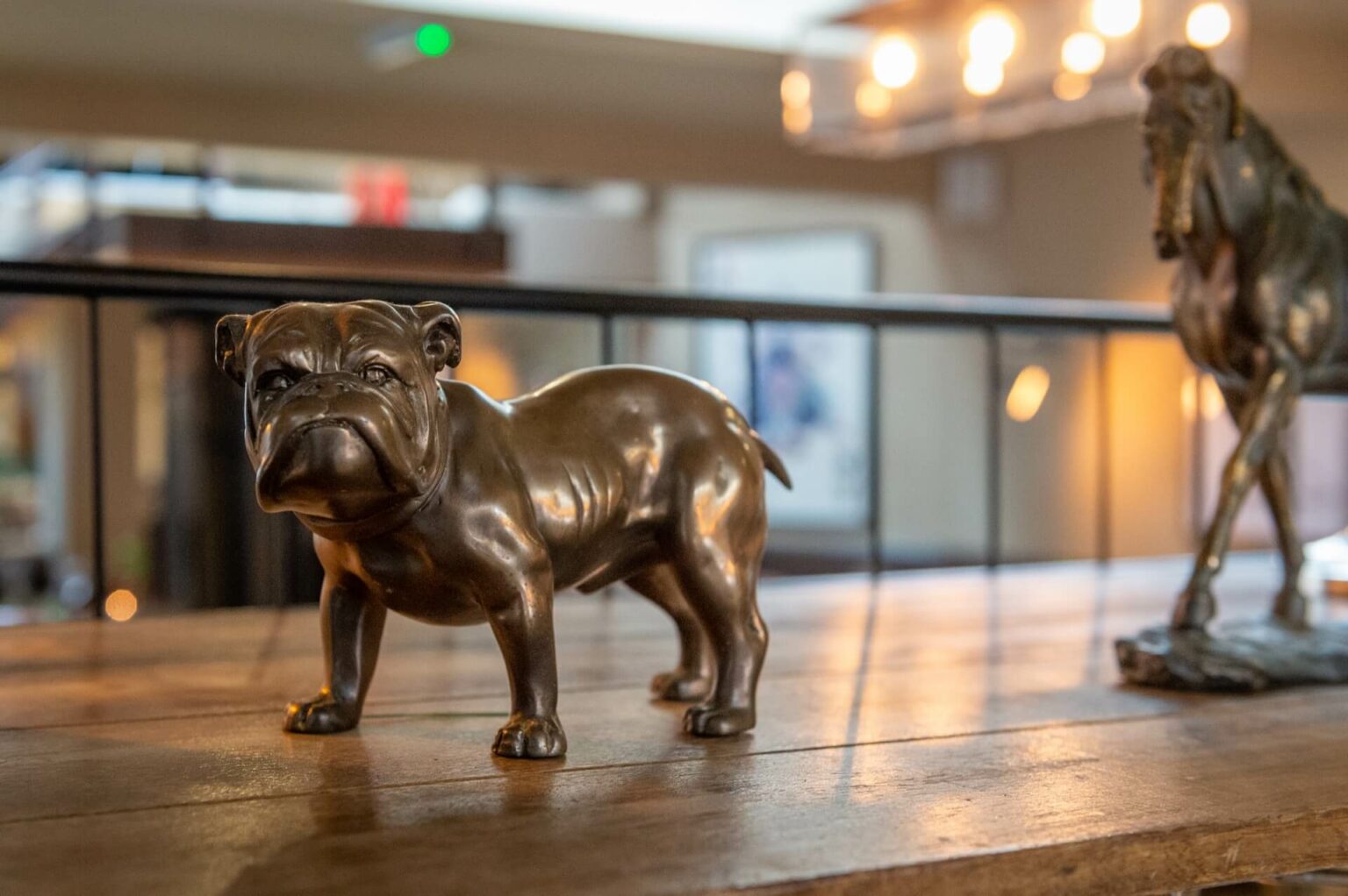 Gallery - The Loopy Shrew