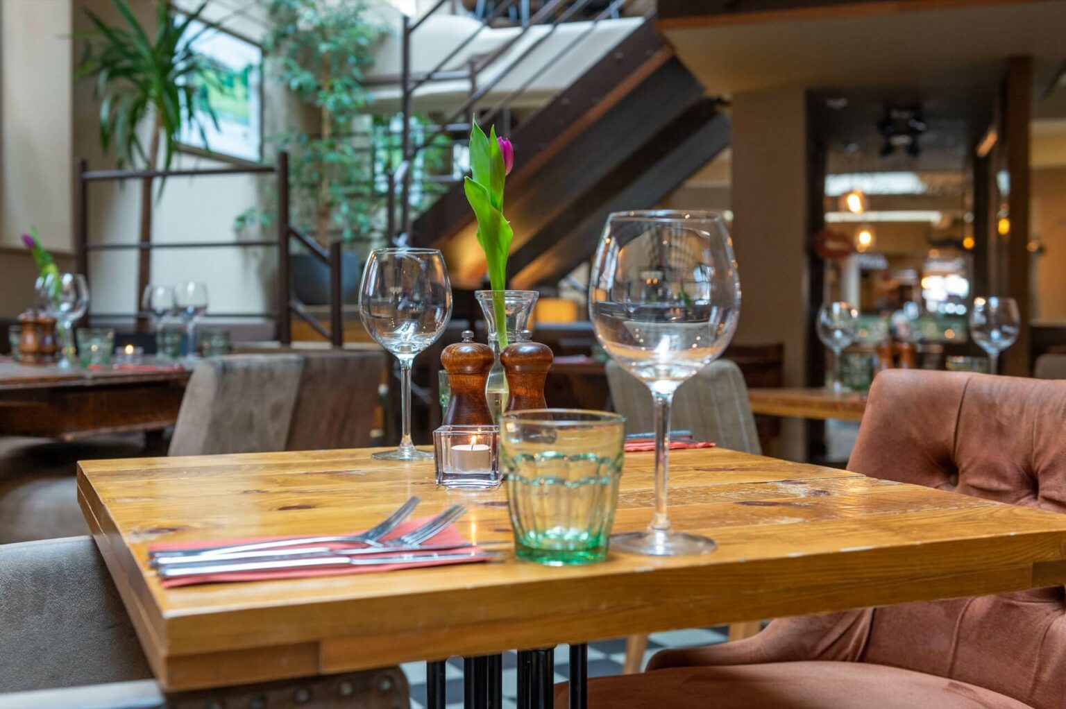 Gallery - The Loopy Shrew